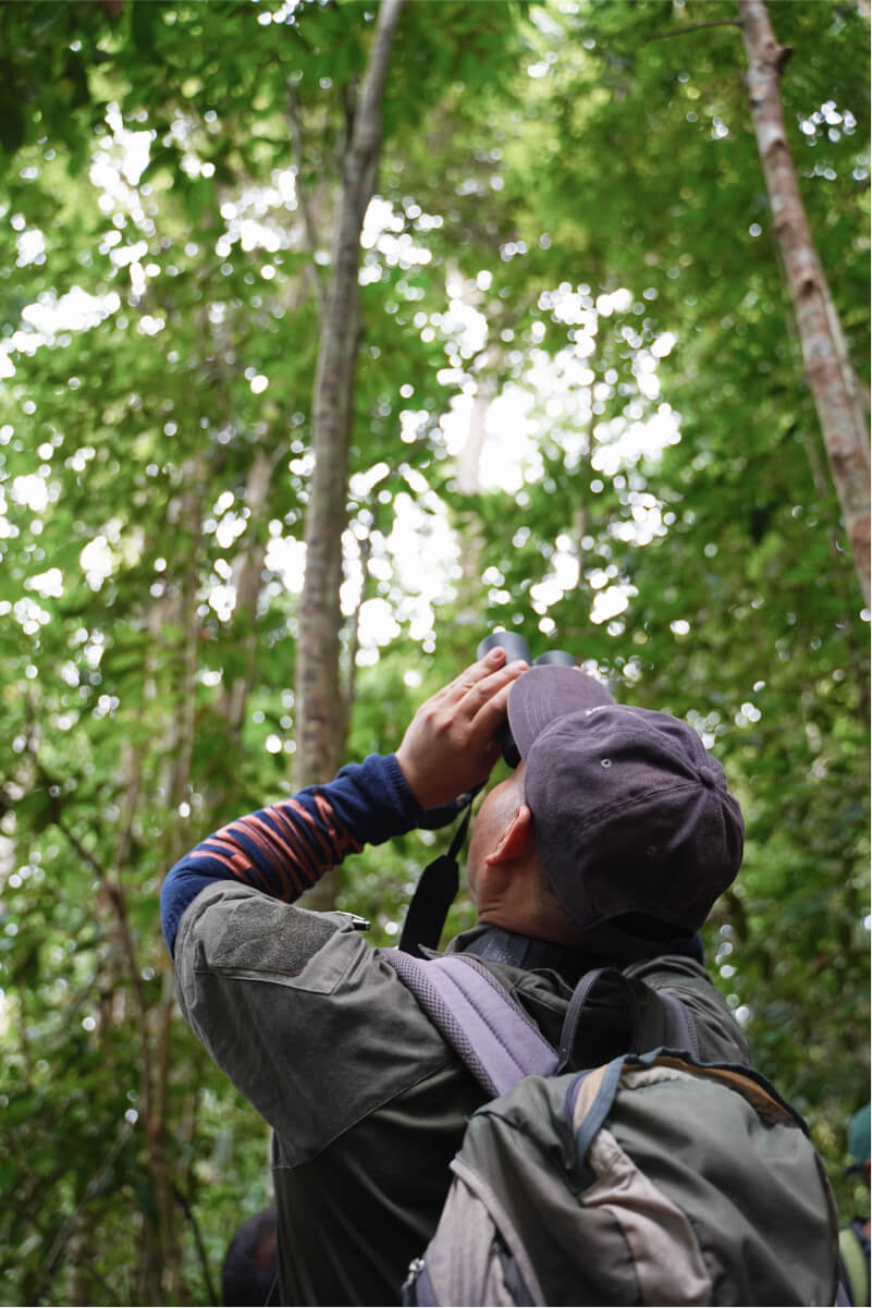 AI in Carbon Sequestration & Environmental Consulting - Rejuvenate Earth. Mitigate Carbon.